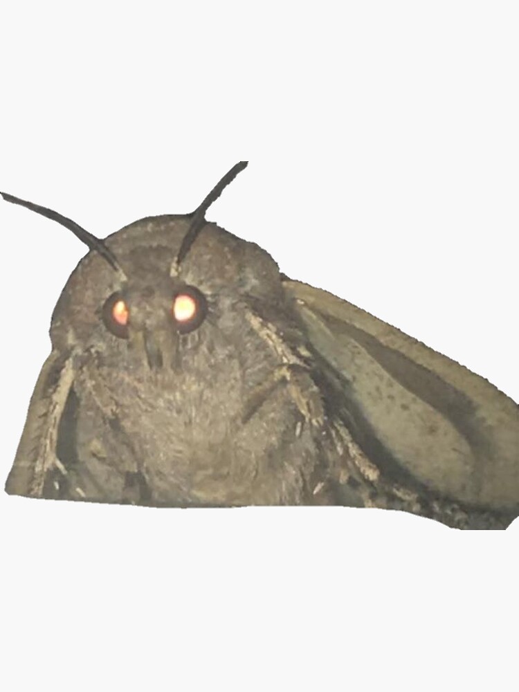 "Moth Meme" Sticker for Sale by patrikman6 | Redbubble