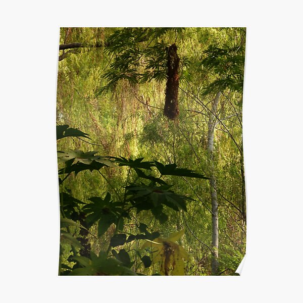 "nest - nido" Poster for Sale by 8paco8 | Redbubble