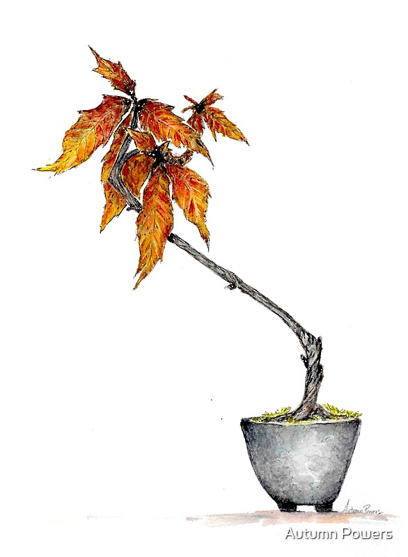 "Signs of Fall" by Autumn Powers | Redbubble
