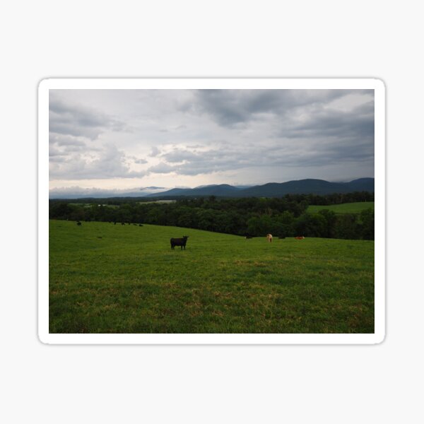 "Pasture " Sticker for Sale by krenschen33 | Redbubble