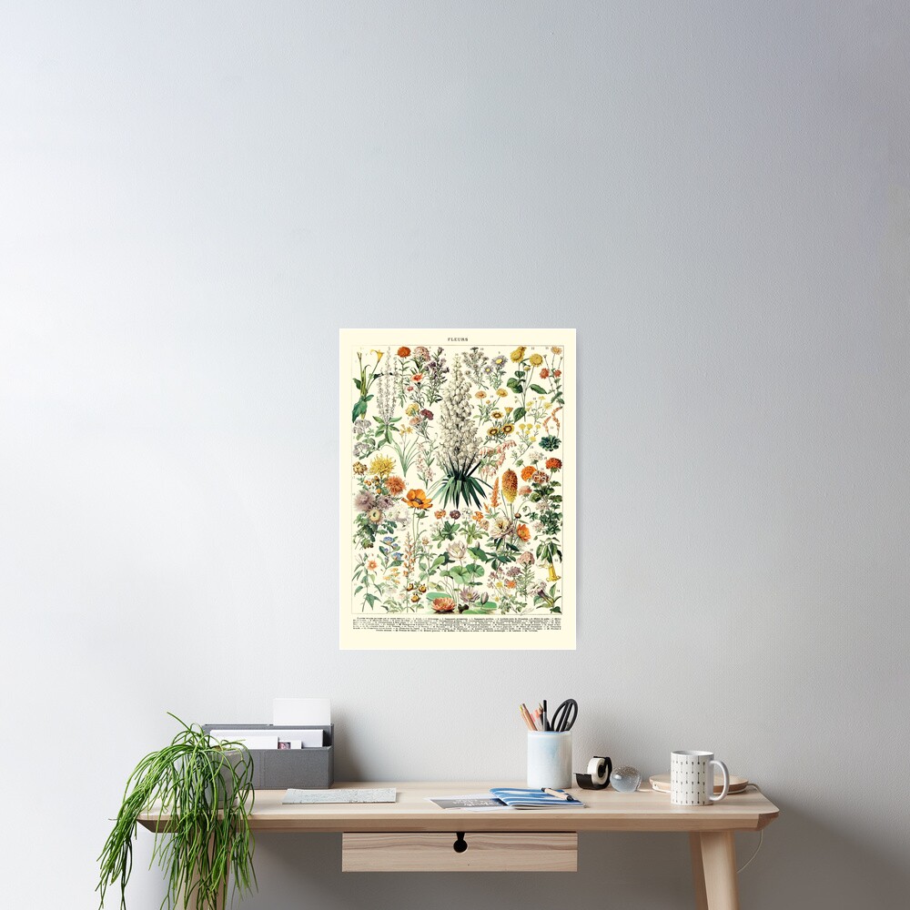 "Vintage Botanical Wall Art Flower Poster" Poster for Sale by ...