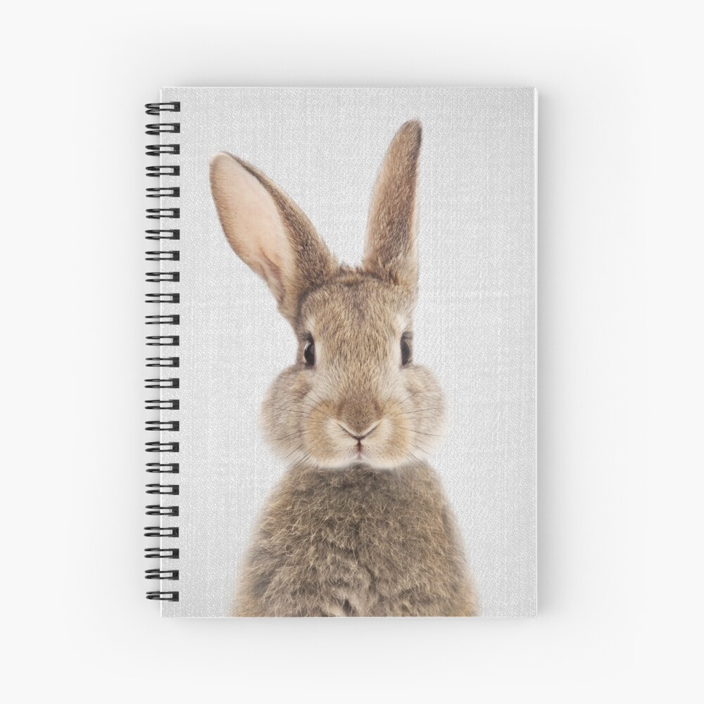 "Rabbit - Colorful" Spiral Notebook for Sale by galdesign | Redbubble