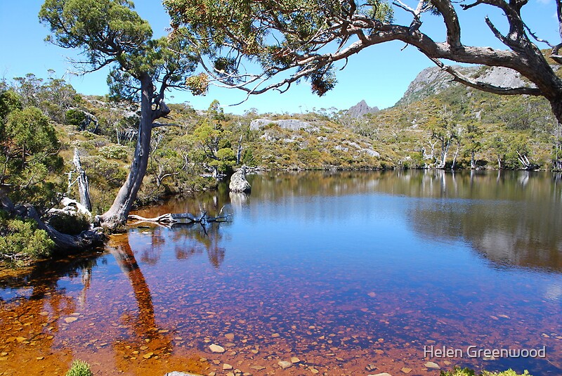"Wombat Pool, Cradle Mountain, Tasmania" by Helen Greenwood | Redbubble