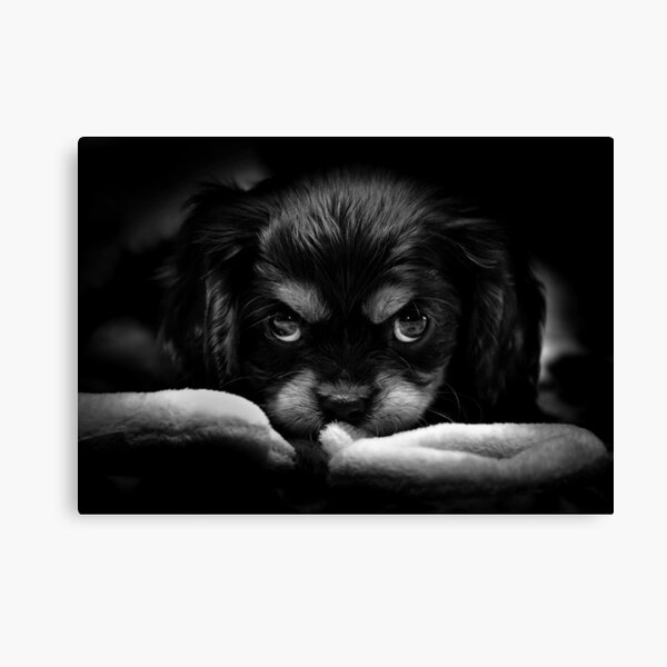 Robert Mullner Shop | Redbubble