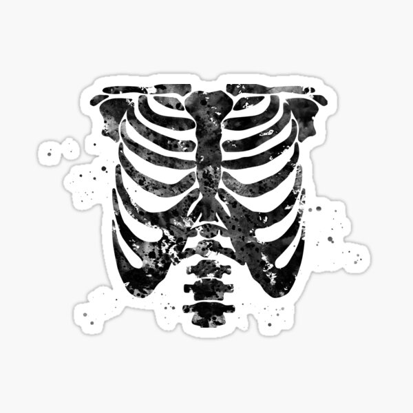 "Rib cage" Sticker for Sale by erzebetth | Redbubble