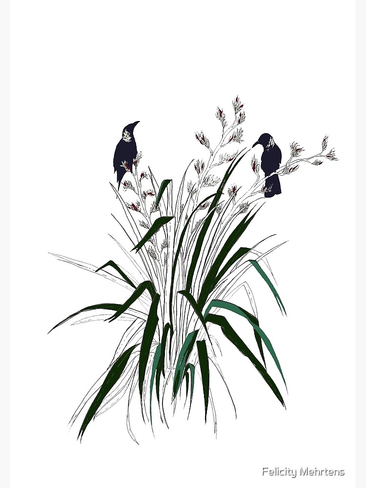 "'Harakeke' Flax with Tui" Poster for Sale by FelicityMArt | Redbubble