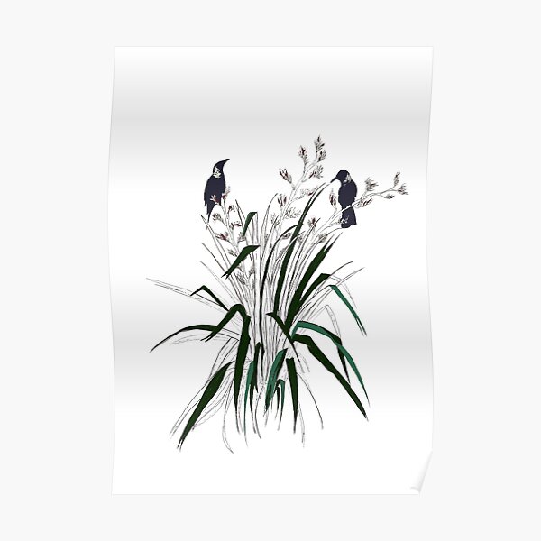"'Harakeke' Flax with Tui" Poster for Sale by FelicityMArt | Redbubble
