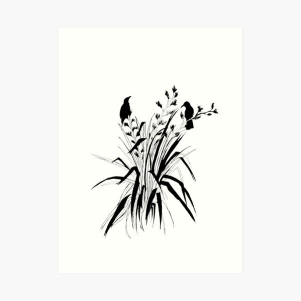 "Harakeke- Tui in Flax Black" Art Print for Sale by FelicityMArt ...