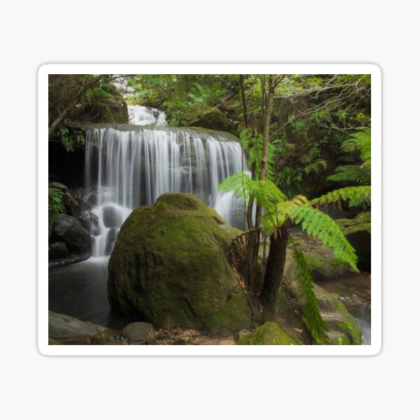 "Forest Cascades" Sticker for Sale by brucereardon1 | Redbubble