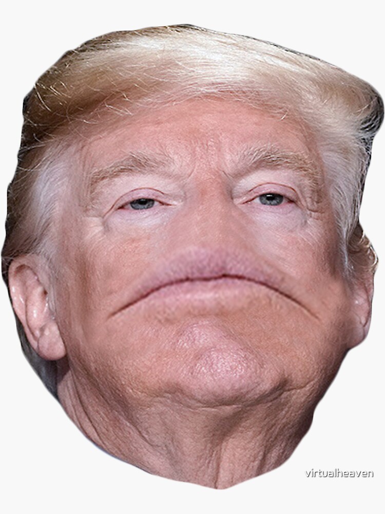 "Cursed Donald Trump" Sticker for Sale by virtualheaven | Redbubble