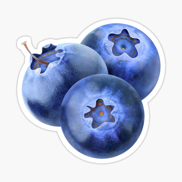 "Three blueberries" Sticker for Sale by 6hands | Redbubble