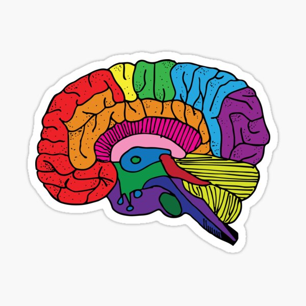 Stickers, Labels & Tags Clings Rainbow ADHD Brain Vinyl Sticker etna.com.pe