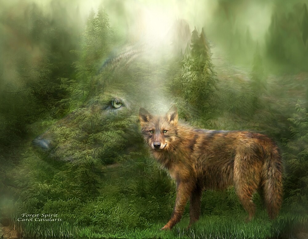 "Wolf - Forest Spirit" by Carol Cavalaris | Redbubble