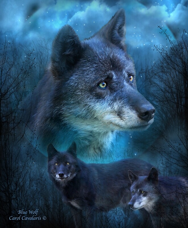 "Legend Of The Blue Wolf" by Carol Cavalaris | Redbubble