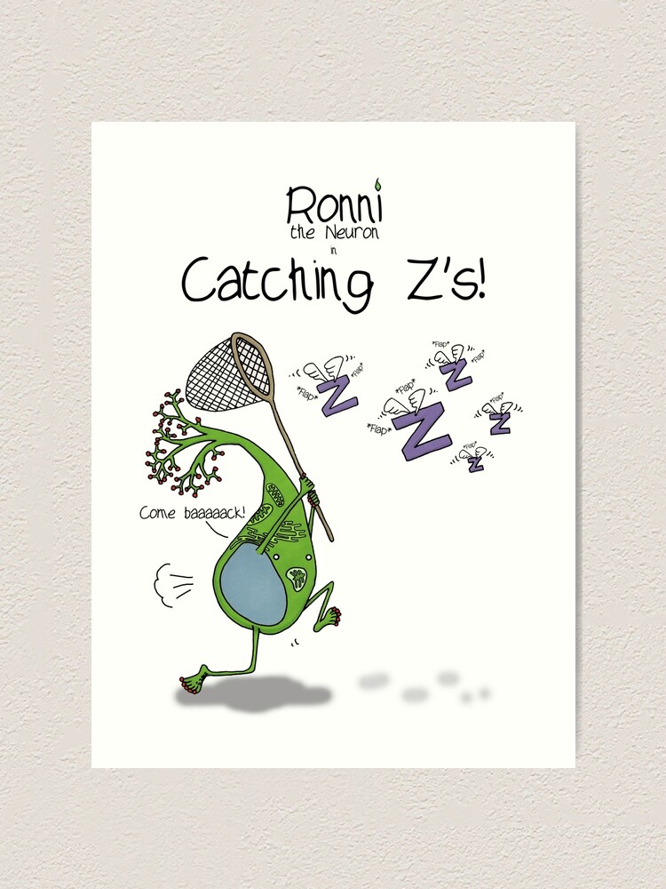 "Catching Z's" Art Print by Immy | Redbubble
