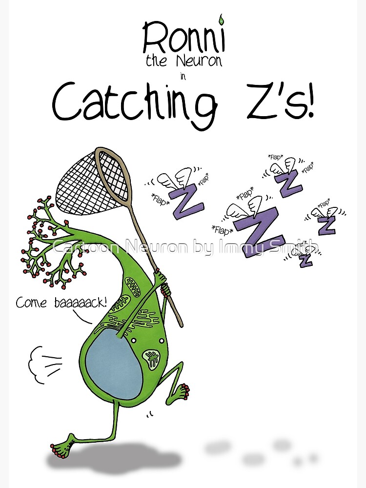 "Catching Z's" Art Print by Immy | Redbubble
