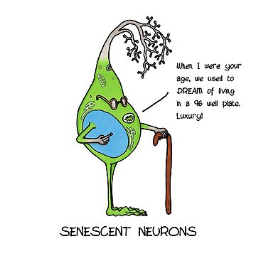 "Cell Culture Problems: Senescent Neurons" Poster for Sale by Cartoon ...