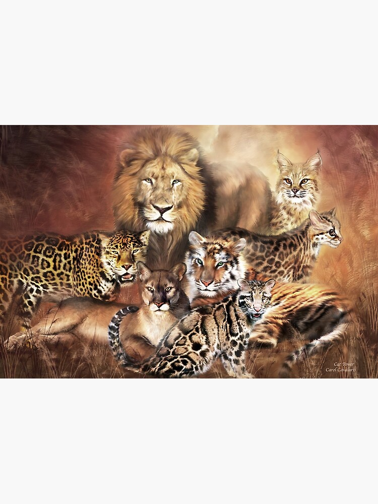 "Cat Power" Poster by carolcavalaris | Redbubble