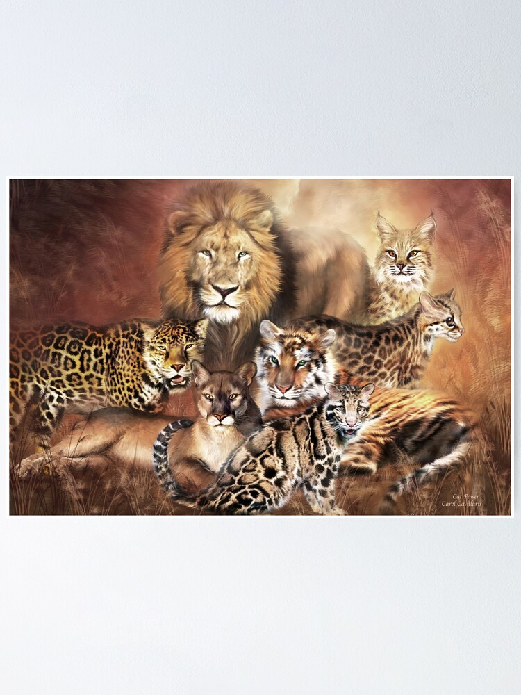 "Cat Power" Poster by carolcavalaris | Redbubble