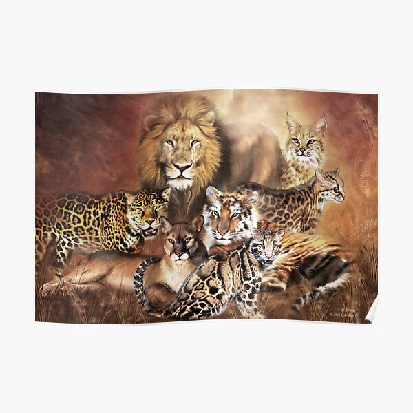 "Cat Power" Poster by carolcavalaris | Redbubble