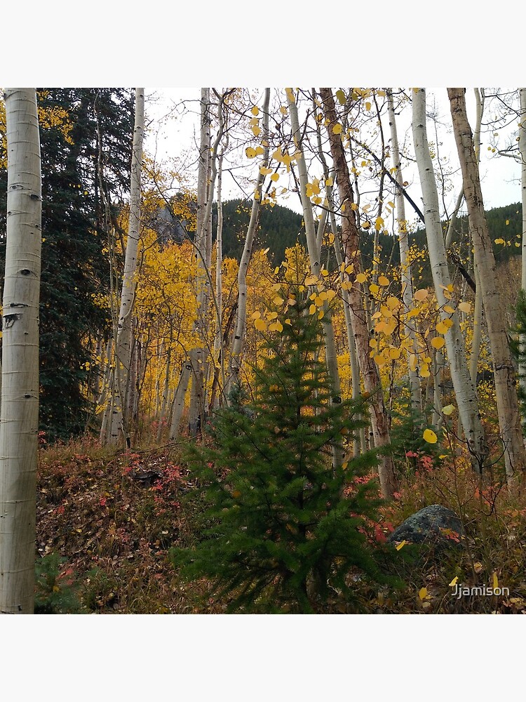 "Frühherbst. Fall von Independence Pass Colorado Das perfekte Setup für ...