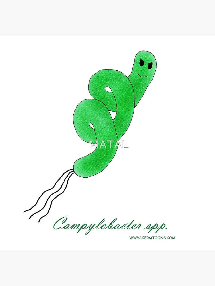 Póster for Sale con la obra «Dibujos animados de Campylobacter spp.» de ...