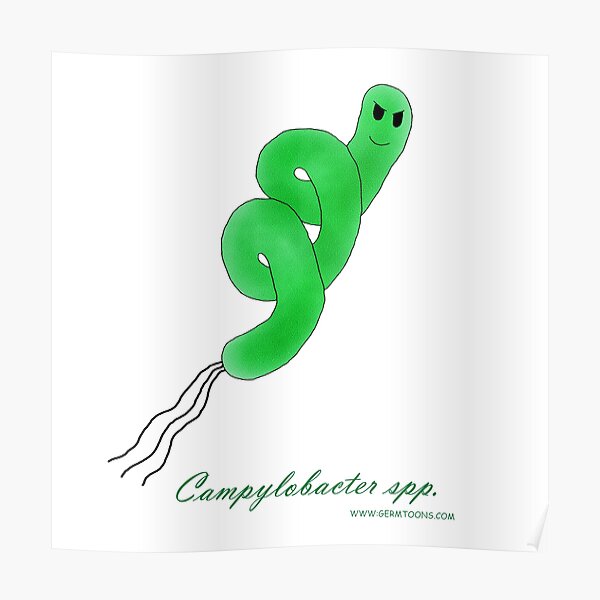 Poster: Mikroorganismus | Redbubble