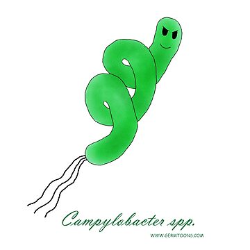 "Cartoon Campylobacter spp." Sticker for Sale by MATAL | Redbubble