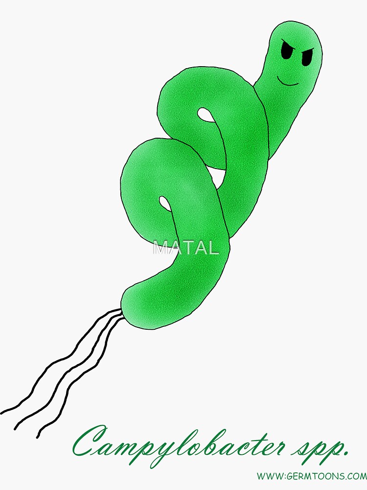 "Cartoon Campylobacter spp." Sticker for Sale by MATAL | Redbubble