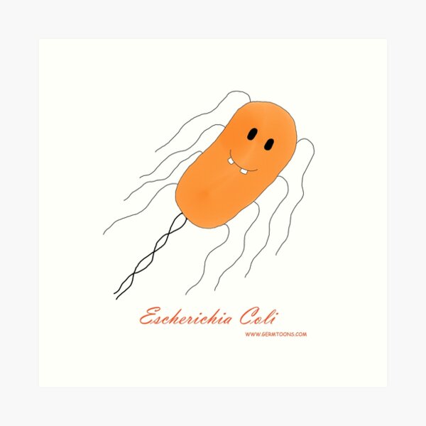 "E. Coli - Cartoon Escherichia Coli Bacterium" Art Print by MATAL ...