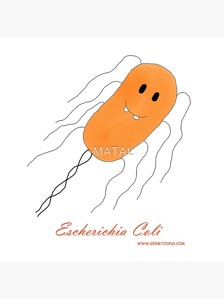 "E. Coli - Cartoon Escherichia Coli Bacterium" Art Print by MATAL ...