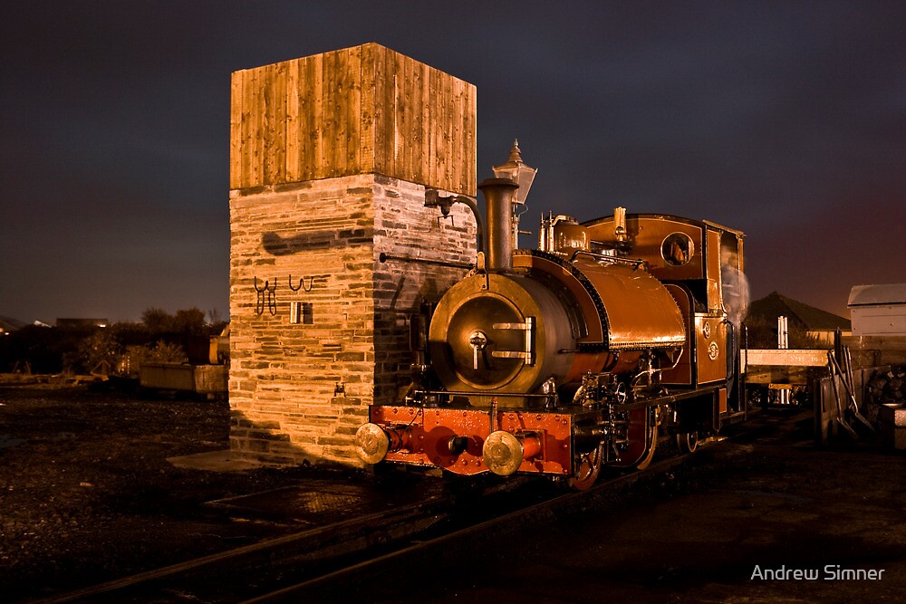 "Sir Haydn stands by the water column at the Talyllyn Railway" by ...