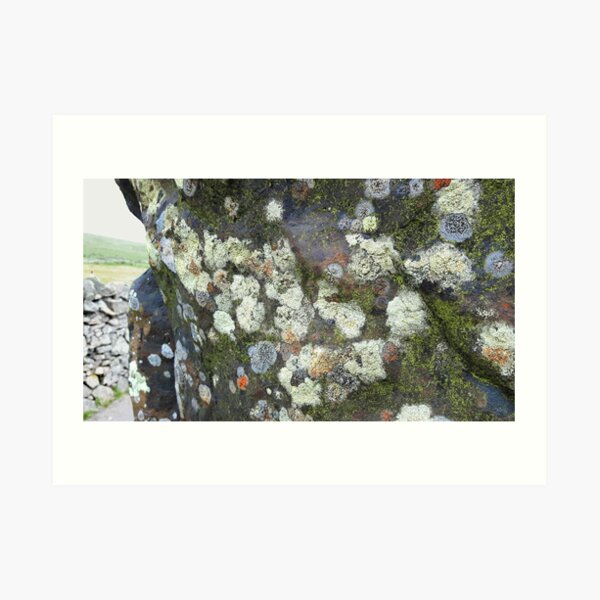 "Moss And Lichen - Border Stone Scottish Border" Art Print by ...