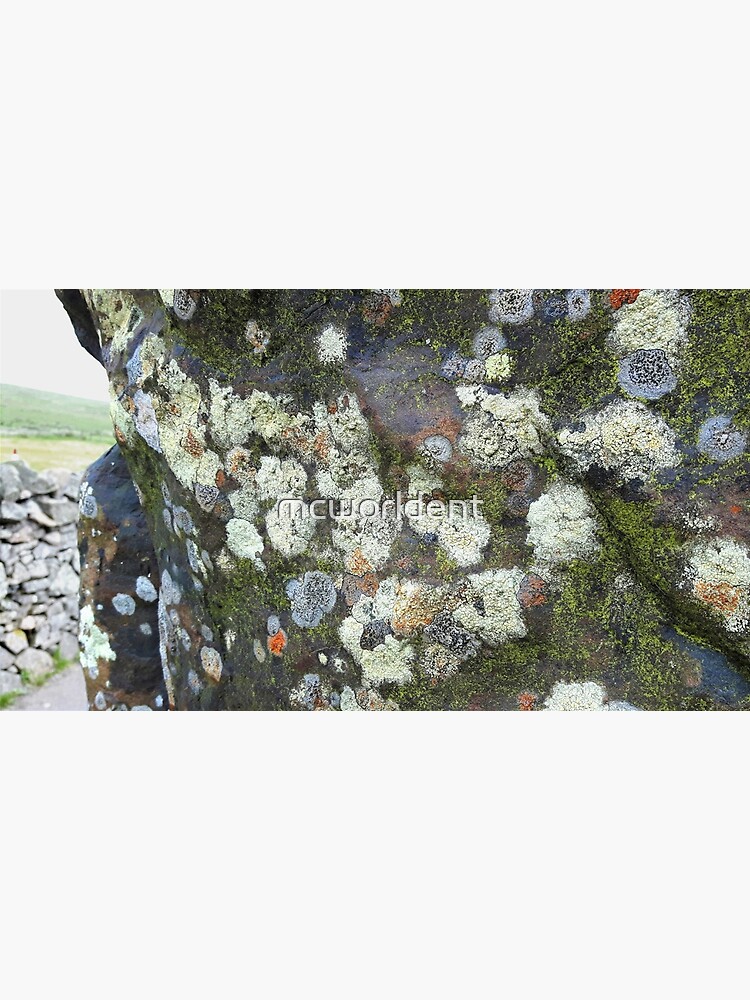 "Moss And Lichen - Border Stone Scottish Border" Art Print by ...