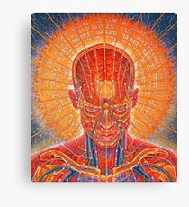 Alex Grey Canvas Prints | Redbubble