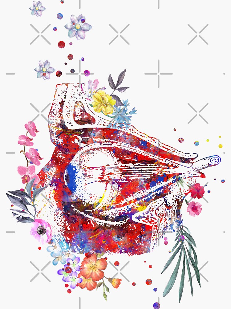 "Human eye" Sticker for Sale by Rosaliartbook | Redbubble