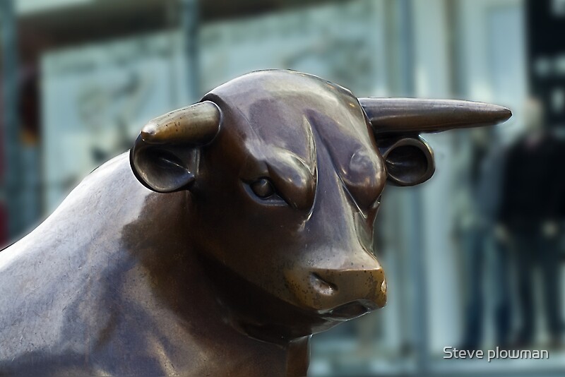 "The Brummie Bull" by Steve plowman | Redbubble