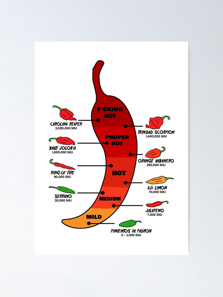 "Hot Chili Pepper" Poster for Sale by charchap | Redbubble