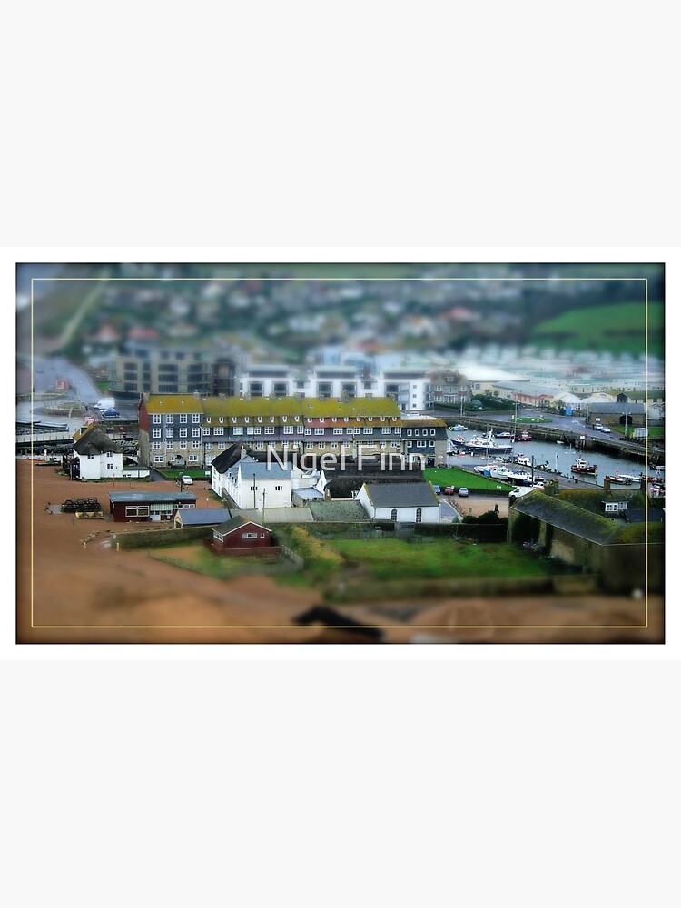 "A Model Community" Poster by Finntasia | Redbubble