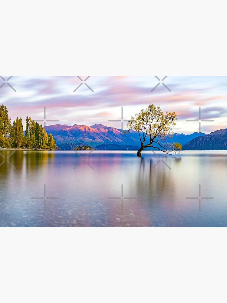 "That Wanaka Tree" Poster for Sale by Adrian Alford Photography | Redbubble
