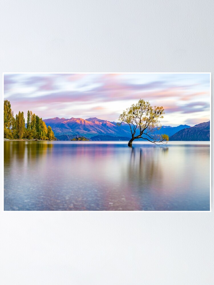 "That Wanaka Tree" Poster for Sale by Adrian Alford Photography | Redbubble