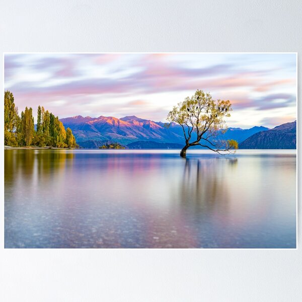 "That Wanaka Tree" Poster for Sale by Adrian Alford Photography | Redbubble
