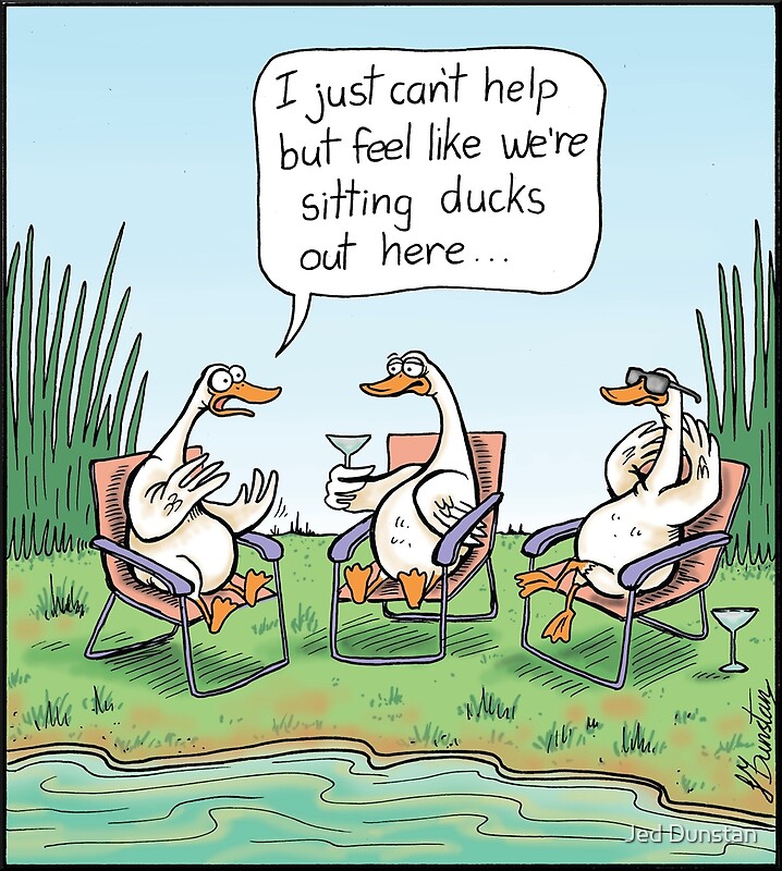 "Sitting Ducks." by Jed Dunstan | Redbubble
