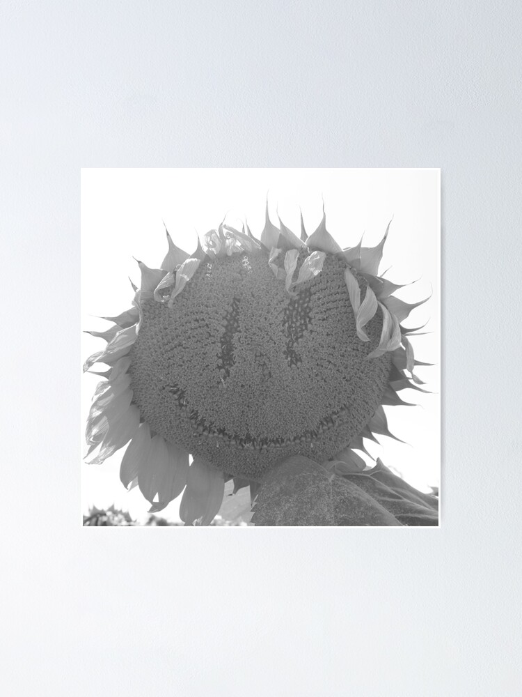 "Spooky Sunflower Face" Poster by Susiesphotos | Redbubble