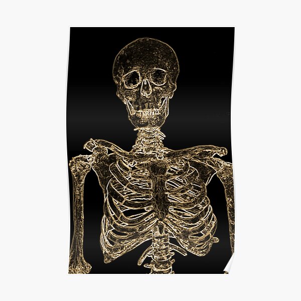 "DECAYED" Poster for Sale by BOLLA67 | Redbubble