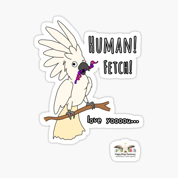 "HWS SASSY COLLECTION! - UMBRELLA COCKATOO " Sticker by HappyWings ...