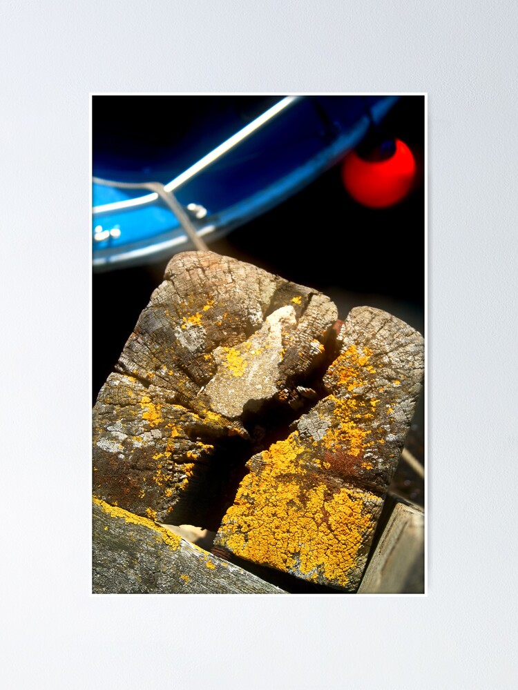 "Cracked Timber" Poster by Finntasia | Redbubble