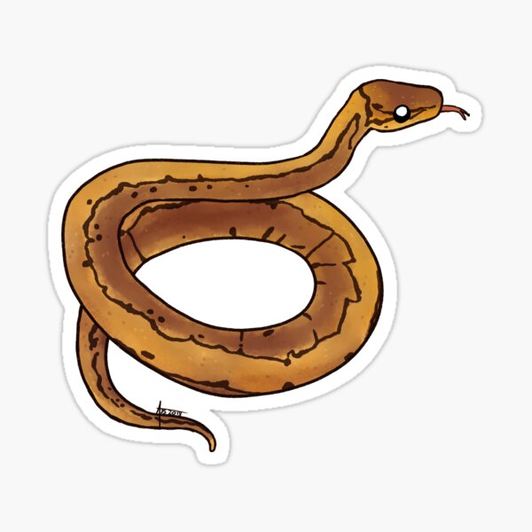 "Ball Python - Lilith" Sticker by petakov-kirk | Redbubble