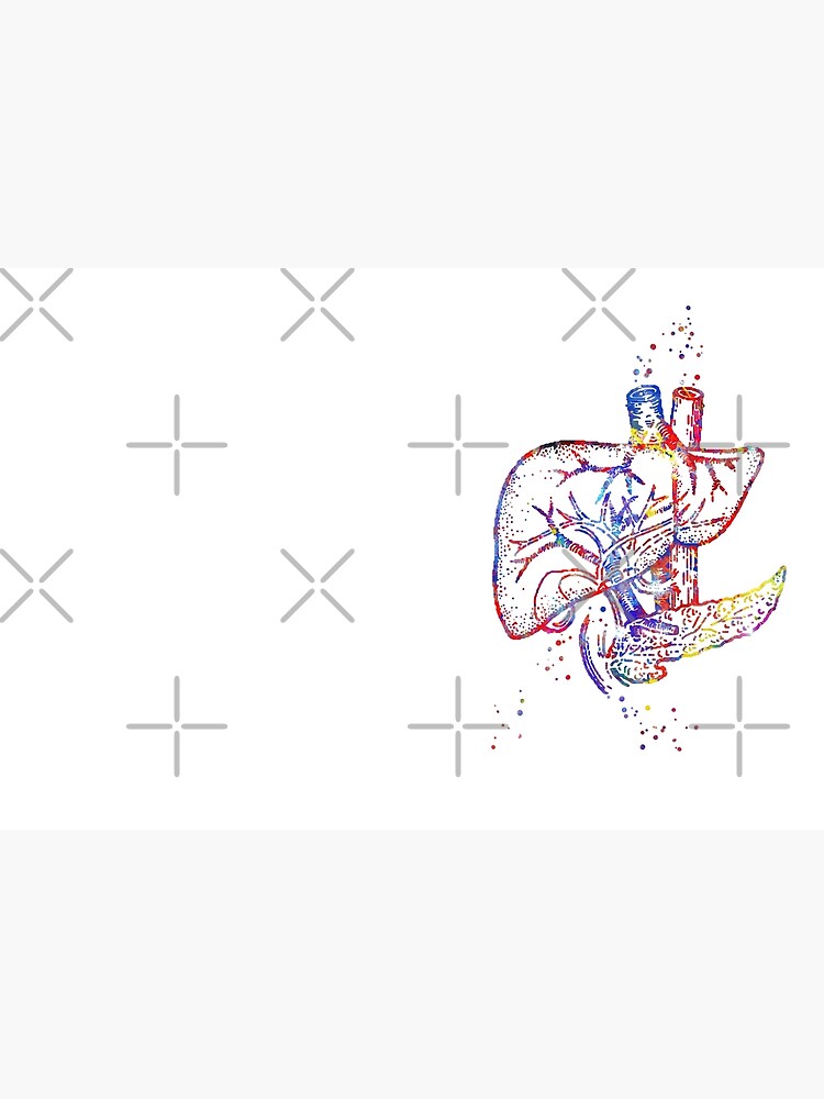 Carnet cartonné « Foie, organes humains, art du foie, anatomie du foie ...
