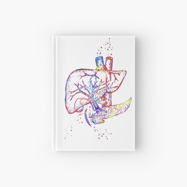 Carnet cartonné « Foie, organes humains, art du foie, anatomie du foie ...